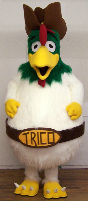 Custom Mascot Gallery - ProMo Costumes