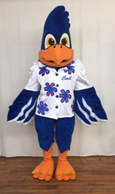 Custom Mascot Gallery - ProMo Costumes